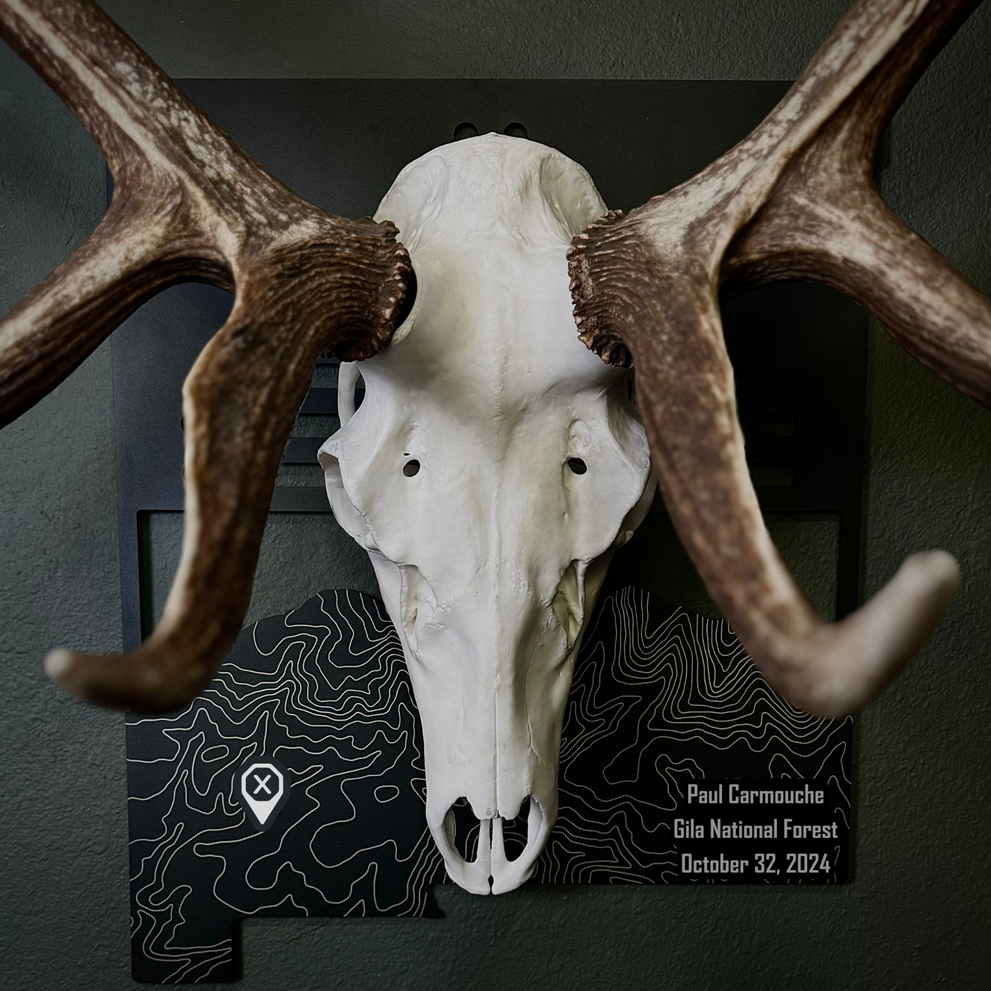 Large Game Plaques – Prized Possessions Brand